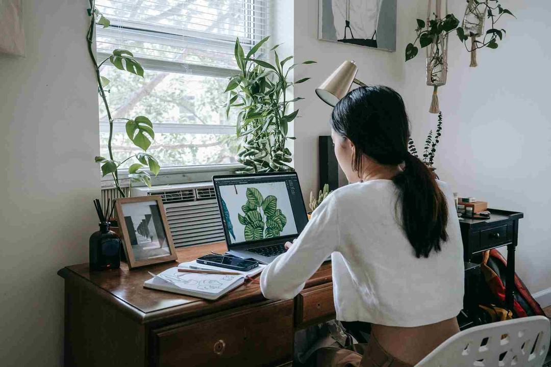 Perbedaan Adobe Photoshop Dengan Adobe Illustrator 
